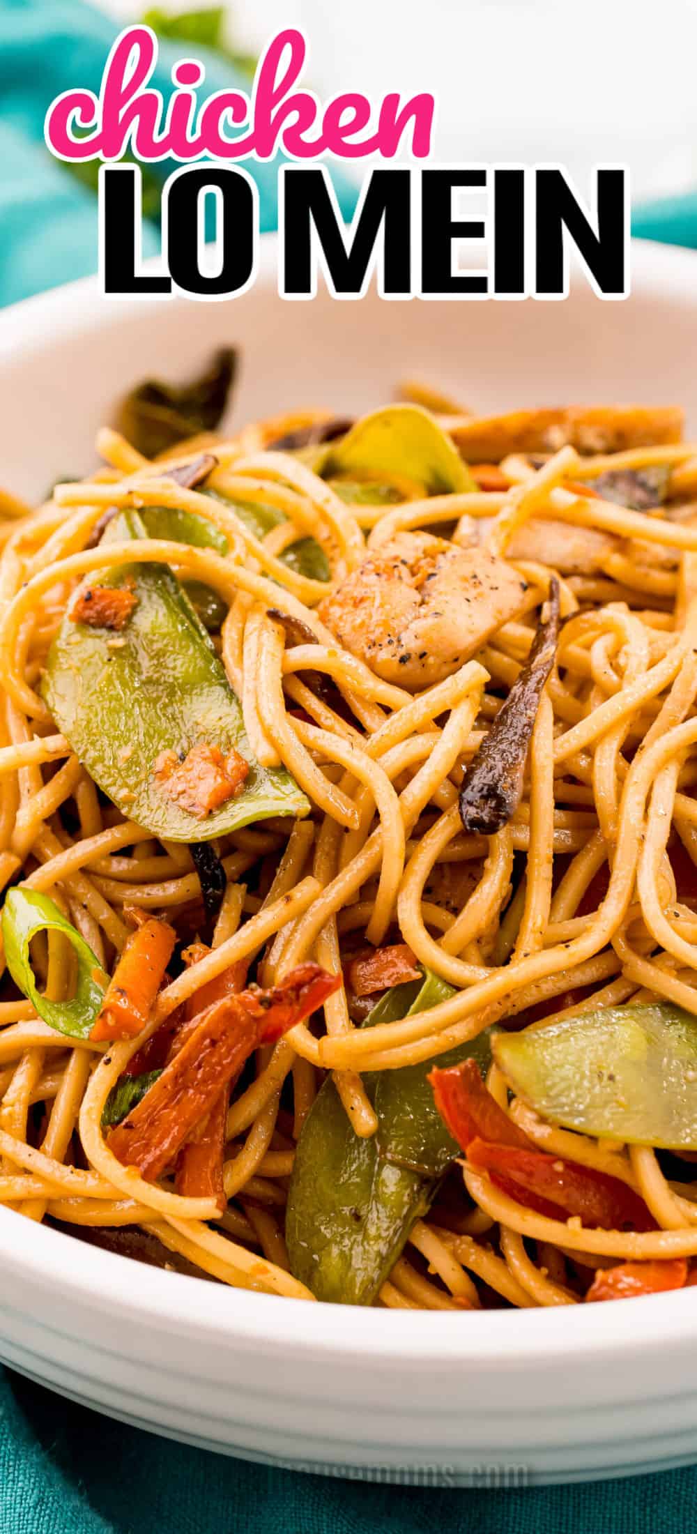 Chicken Lo Mein ⋆ Real Housemoms