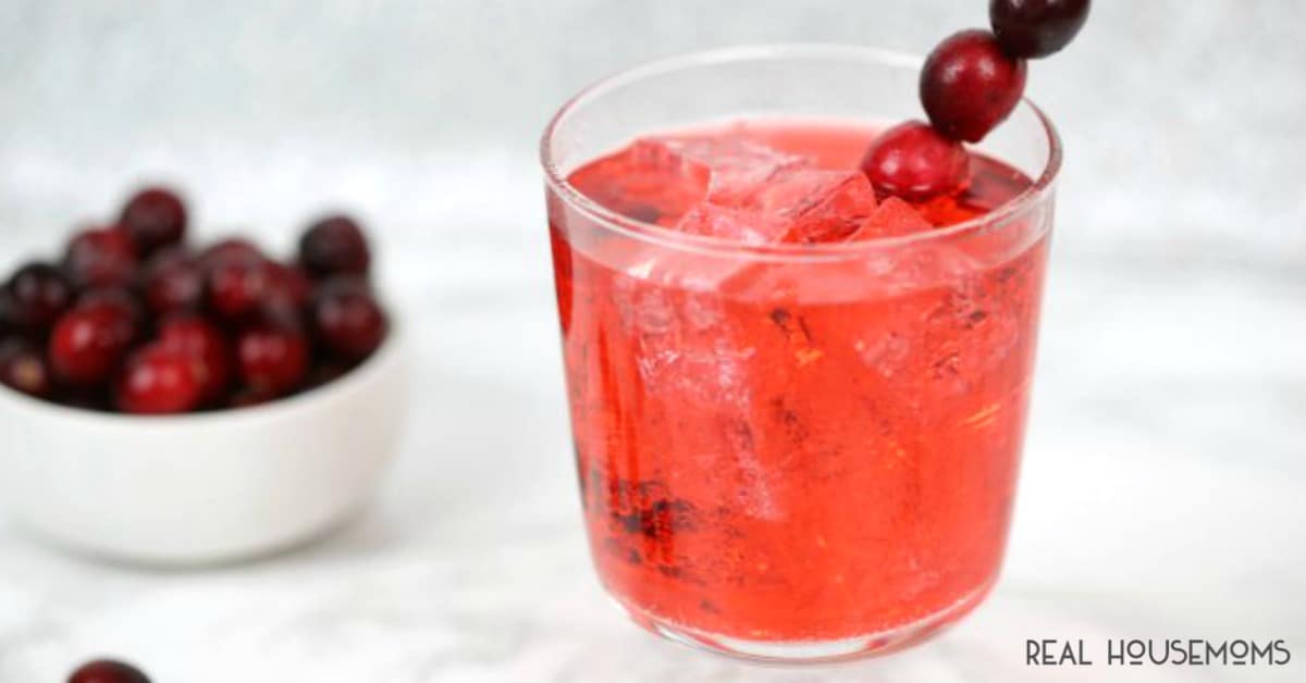 Cranberry Ginger Fizz Cocktail ⋆ Real Housemoms