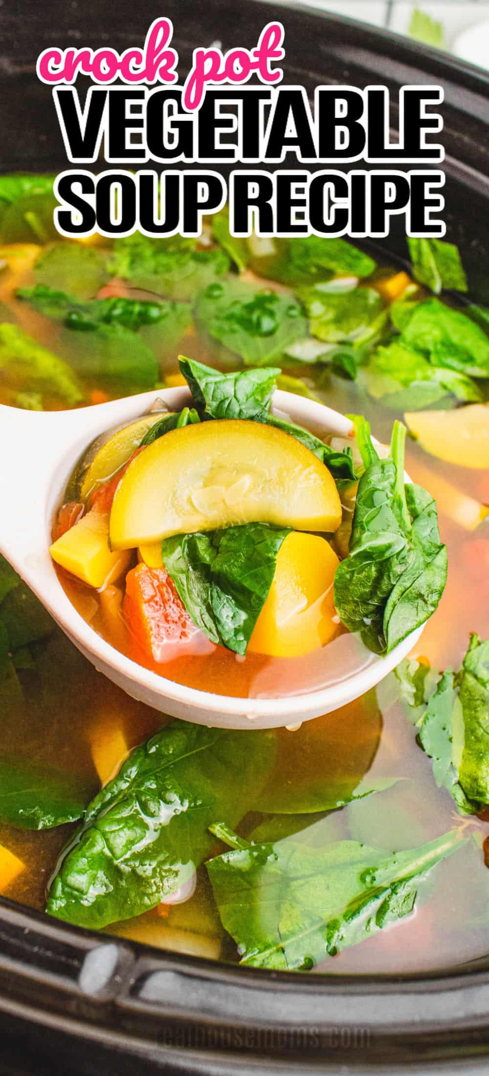 Crock Pot Vegetable Soup with Video ⋆ Real Housemoms