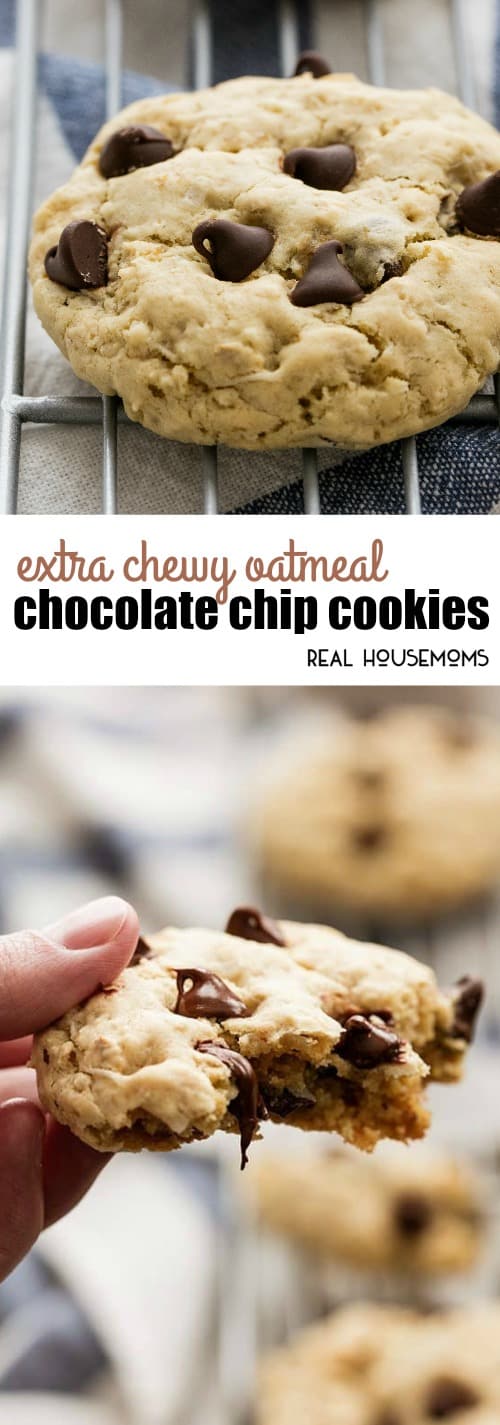 Extra Chewy Oatmeal Chocolate Chip Cookies ⋆ Real Housemoms