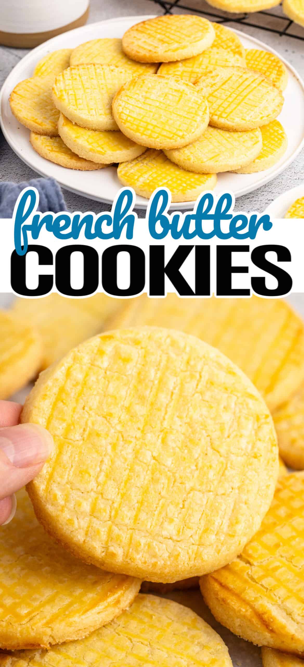 French Butter Cookies (Sablés Bretons) ⋆ Real Housemoms