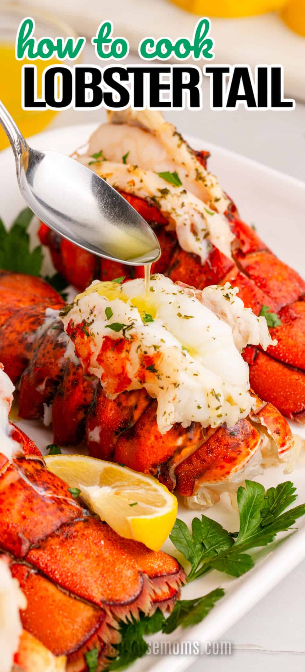 How to Cook Lobster Tail ⋆ Real Housemoms