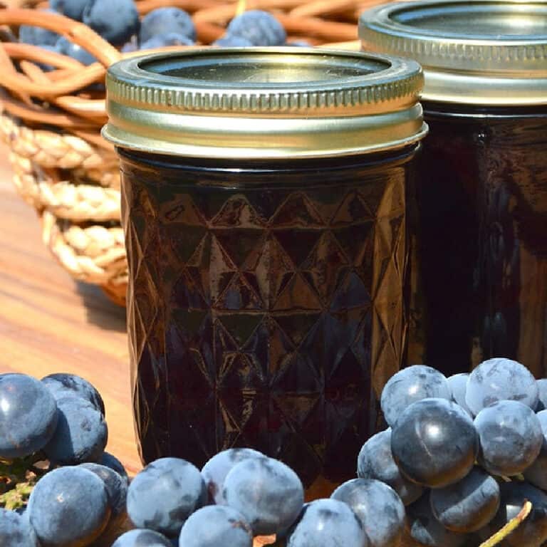 25 Recipes for Jam & Jelly ⋆ Real Housemoms