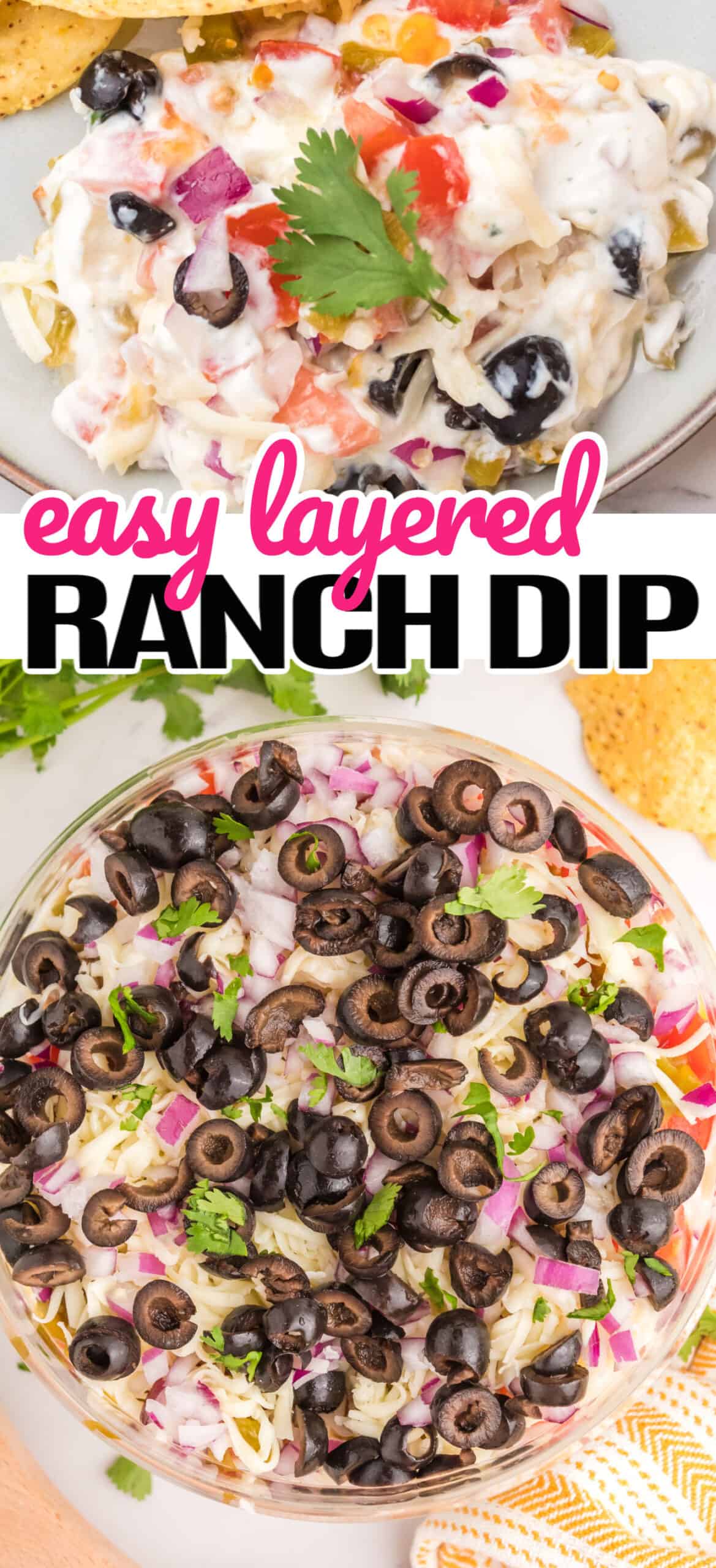 Layered Ranch Dip