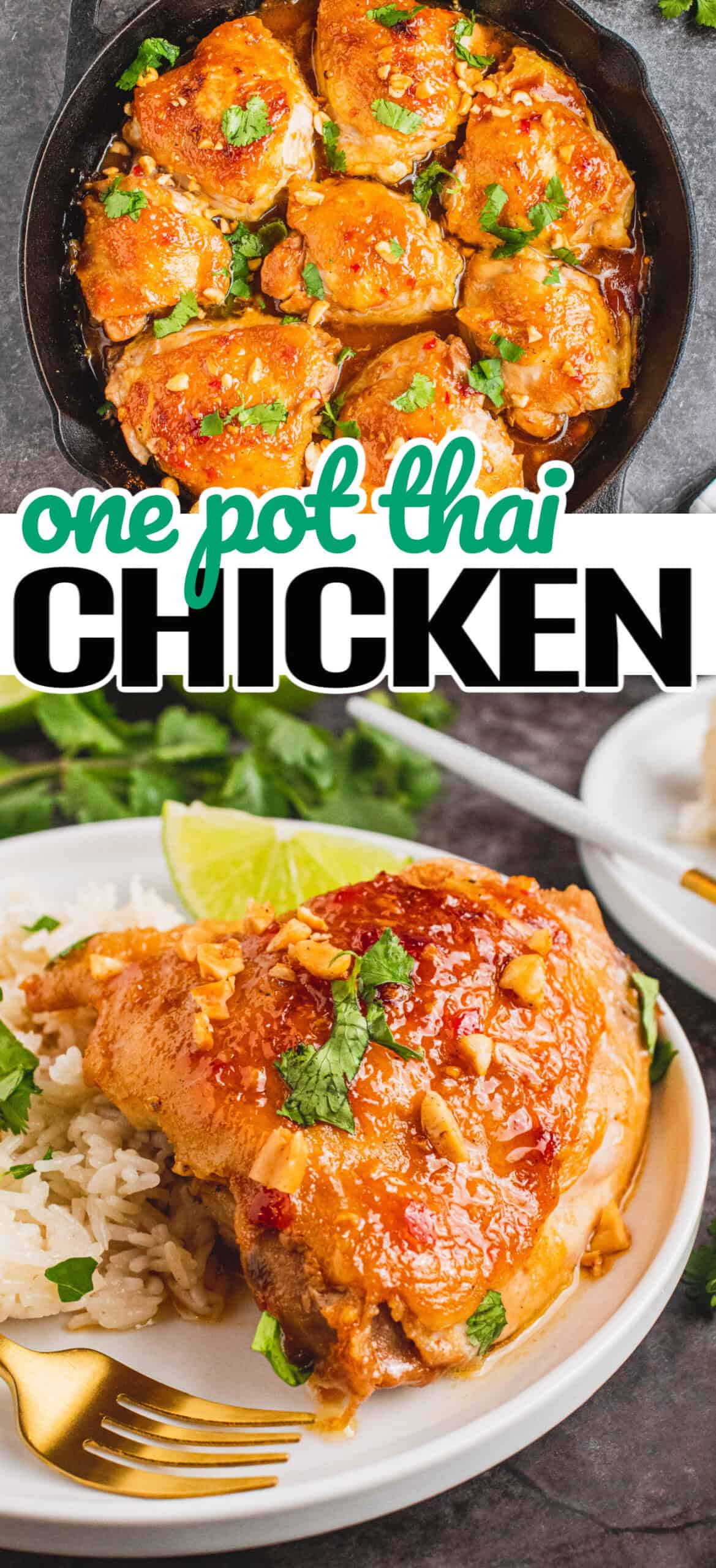 One Pot Thai Chicken ⋆ Real Housemoms