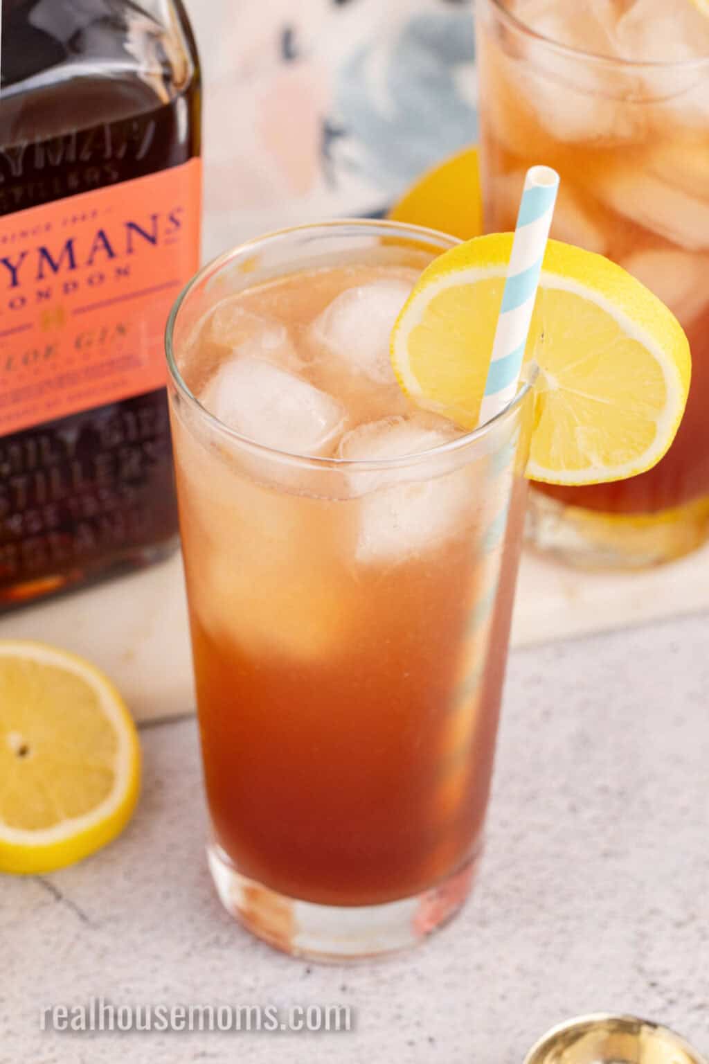 Sloe Gin Fizz ⋆ Real Housemoms