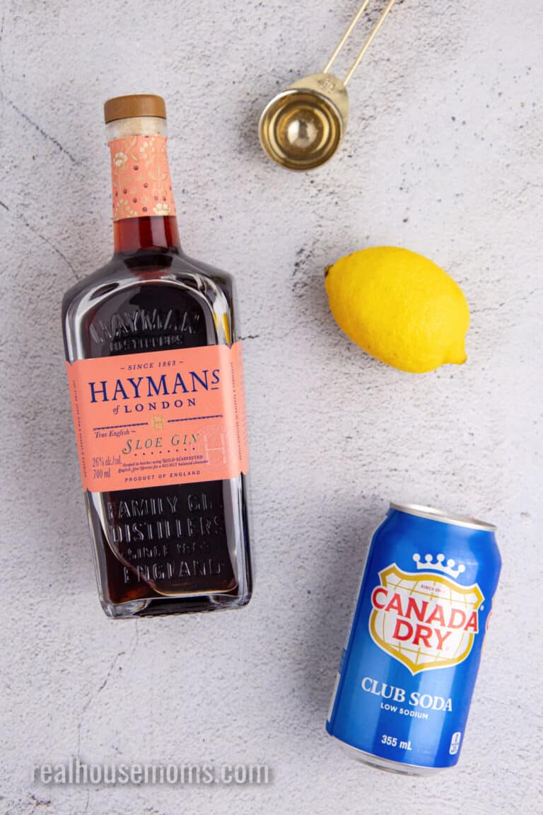 Sloe Gin Fizz ⋆ Real Housemoms