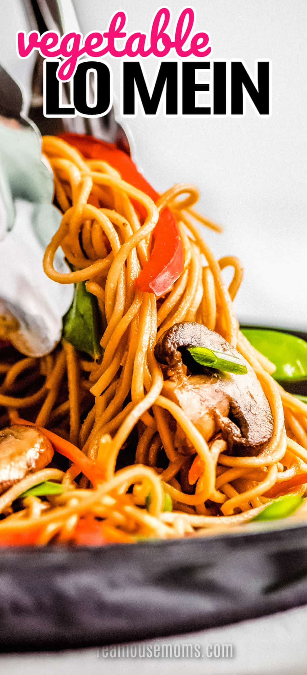 Vegetable Lo Mein ⋆ Real Housemoms