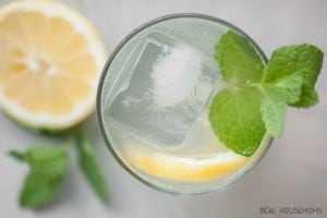 Summer Vodka Fizz ⋆ Real Housemoms